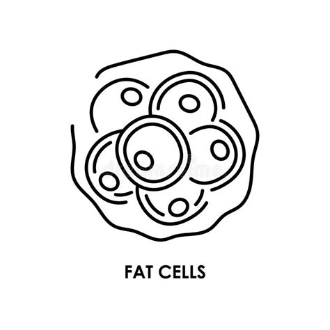 Fat Cells Color Line Icon Microorganisms Microbes Bacteria Stock Vector Illustration Of Icon