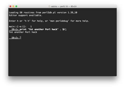Perl Repl Example