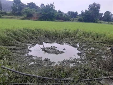 ထီးလင်းမြို့ စစ်ကောင်စီလေကြောင်းတိုက်ခိုက်မှု ဒေသခံ ၁ဦးသေဆုံး ၆ဦးဒဏ်ရာရ Bur Mizzima Com