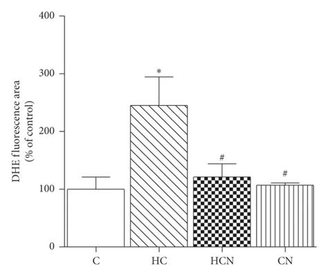 Detection Of Superoxide Anions O2− Generation In Aorta Download