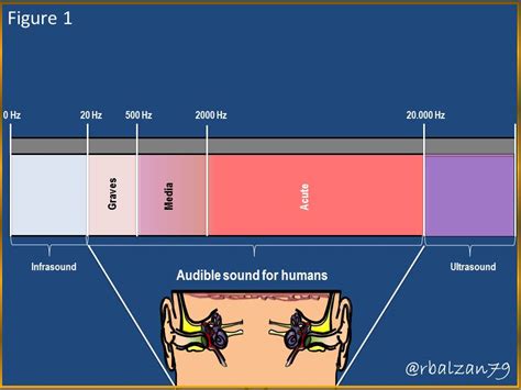 Acoustic Or Sound Spectrum — Hive