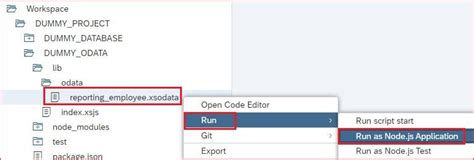 Expose Odata Servicesurl For Calculation View In Sap Hana Rerpfm