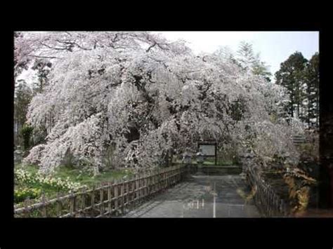 LIVE福島より西田敏行あの街に生まれて富岡町の風景 YouTube