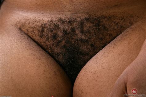 Misty R Williams Atk Exotics