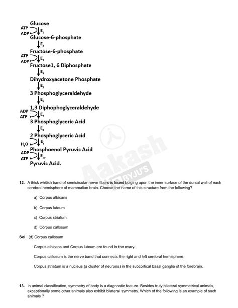 Nsejs 2022 Question Paper Pdf Access