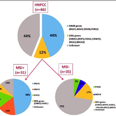 Distribution Of Deleterious Variants In 41 Patients With Polyposis