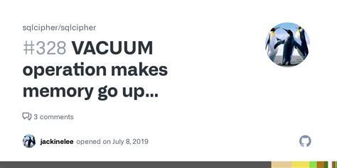 VACUUM Operation Makes Memory Go Up Continously For Big Database 13G