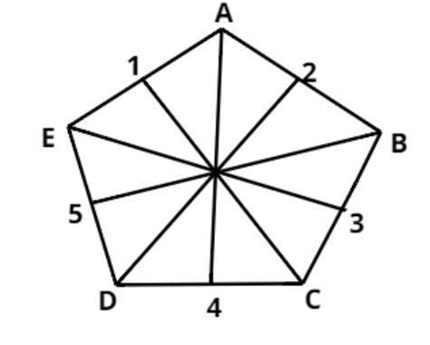 How Many Lines Of Symmetry Does A Regular Pentagon Class 7 Maths Cbse