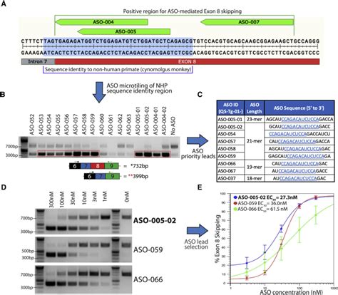 Developing Antisense Oligonucleotides For A Tecpr2 Mutation Induced Ultra Rare Neurological