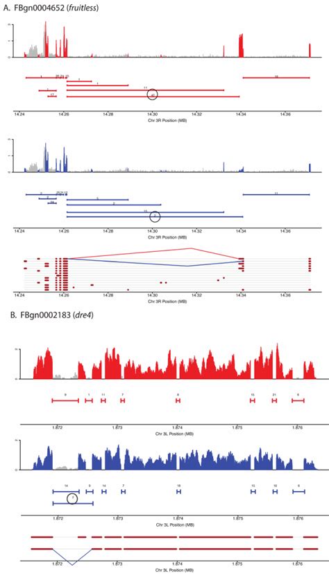 coverage plots junction plots and gene models for genes with