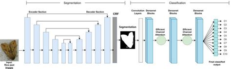 Schematic Diagram Of The Proposed Deep Learning Framework For Image Download Scientific Diagram
