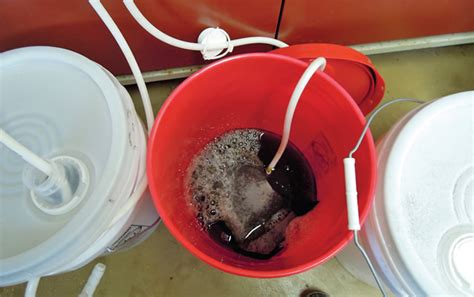 Compost Effects On Weed Suppression BioCycle