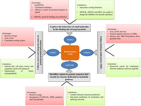 Advantages And Limitations Of Bioinformatics Tools Dedicated To