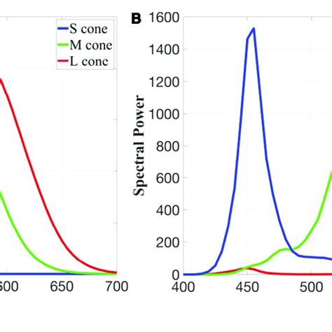Quantal Lms Cone Fundamentals A And The Measured Red Green And Download Scientific