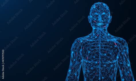 Nervous System Background