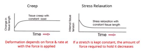 527 Flexibility Based Et Flashcards Quizlet