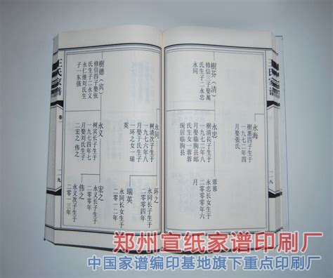 海南王氏家谱字辈查询 海南王氏族完整版 海南王氏族字辈 大山谷图库