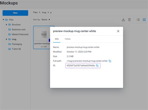 Rendering Preview Mockups Customers Canvas Dev