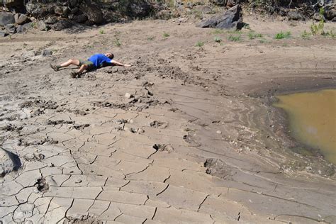 Dsc0154 Tim Diller Flickr