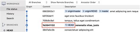Git 如何從特定 commit 切新的分支 Summer桑莫夏天
