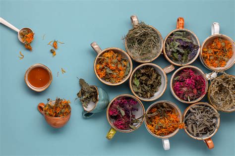 파란색 배경에 컬러풀한 컵의 말린 편안한 차 허브와 꿀을 가까이서 듬습니다 금송화 민트 아니스 히솝 모나다 디디마 쑥 세이지 잎 0명에 대한 스톡 사진 및 기타 이미지