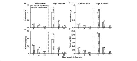 Effects Of Clonal Fragmentation Population Density And Nutrient Download Scientific Diagram