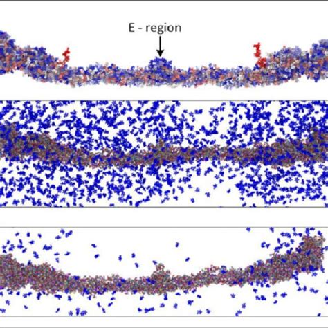 Standard Curve From Colorimetric Glucose Assay The Curve Was Developed Download Scientific