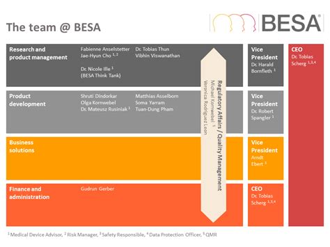 Besa® Brain Electrical Source Analysis About Besa Organization