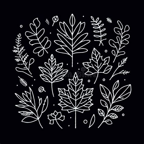 Set Of Leaves Black And White Silhouettes Of Leaves Seamless Pattern