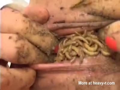 Home Sex Videos With Insects Sex Pictures Pass