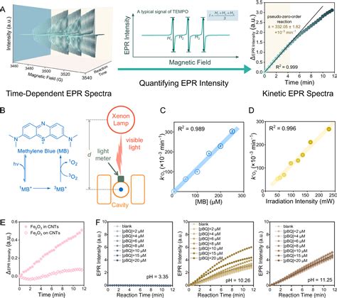 Unveiling Singlet Oxygen Spin Trapping In Catalytic Oxidation Processes Using In Situ Kinetic