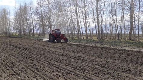 Ажлын байрын дэмжих хөтөлбөрийн Бүлгийн зохион байгуулалттайгаар хүнсний ногоо тариалах арга