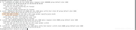 【vmware虚拟机】linux设置固定ip vmware vnet8设置 csdn博客
