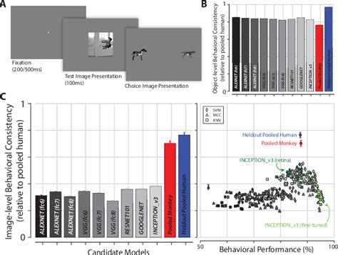 Figure 1 From Feedforward Deep Neural Networks Diverge From Humans And
