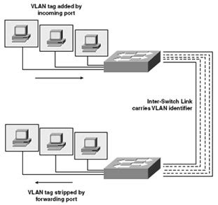 CCNA VLAN Operation Overview