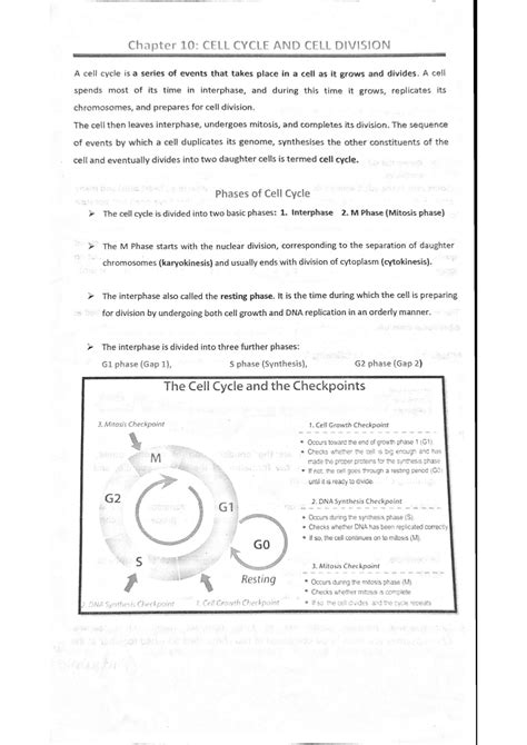 SOLUTION Class Cell Cycle And Cell Division Notes Biology Studypool