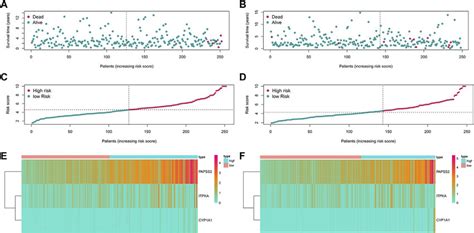 Risk Curves Dot Plots And Heatmaps In Training And Test Set A The Download Scientific