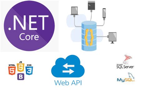 Build Responsive Website With Asp Net Core Html5 Css3 By Rokibcse