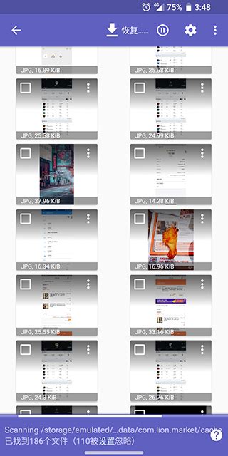 「diskdigger Pro V1 0」误删手机照片？它一分钟即可帮你找回 翻应用