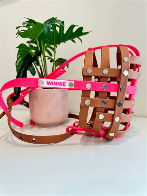 Custom Muzzles Tye Dye Muzzles