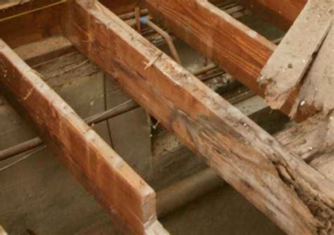 Floor Joist Replacement California Foundation Works