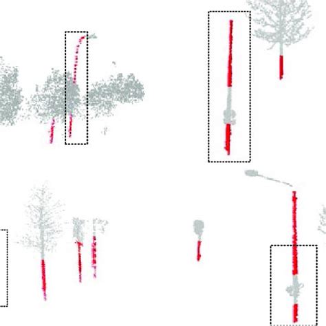 Some Typical Linear Voxels Belonging To The Pole Like Objects Linear Download Scientific