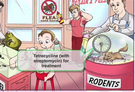 Extra Q11 What Type Of Vaccine Does Y Pestis Have