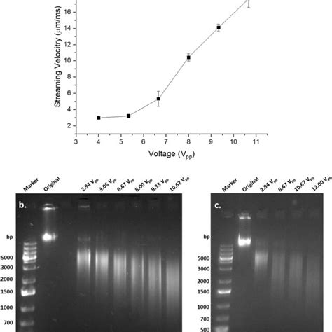 Fragment Size Characterization In Dna Fragmentation Performance Based