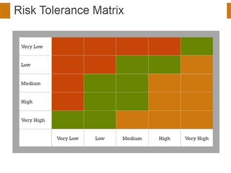 Risk Tolerance Matrix Ppt Powerpoint Presentation Visual Aids Files