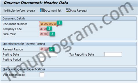 Function Module Reversal Document Number With Bapiaccdocumentrev