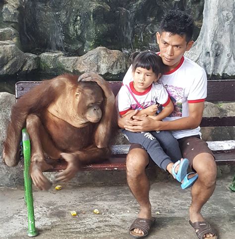 บริษัท เอี่ยมพัฒนาสตาร์ช จำกัด โรงงานผลิตแป้งมันสำปะหลัง ติดสถานีรถไฟหนองพลวง อ บัวใหญ่ จ