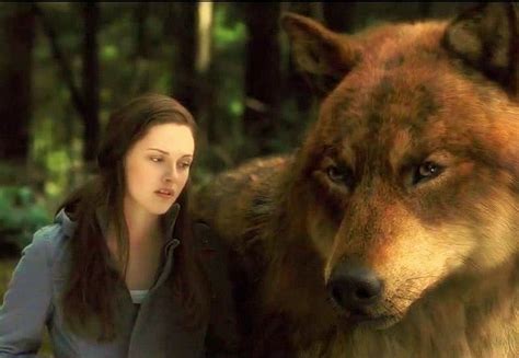 Twilight Jacob And Bella Kiss Eclipse Wrocawski Informator Internetowy Wrocaw Wroclaw