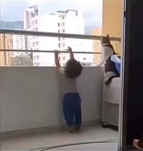 Video Jonathan Aufray On Linkedin Riskmanagement Cats Business