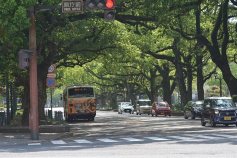 【勝手に都道府県庁スタンプラリーその45】宮崎県庁（45） Kayabachonorbs Blog
